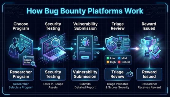 10 Best Bug Bounty Platforms For Ethical Hackers In 2026 | CloudSEK