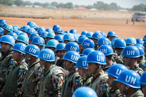 Global Issues: The Role of International Organisations in Peace and ...