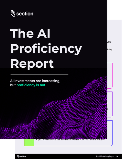 The AI Proficiency Report | Section