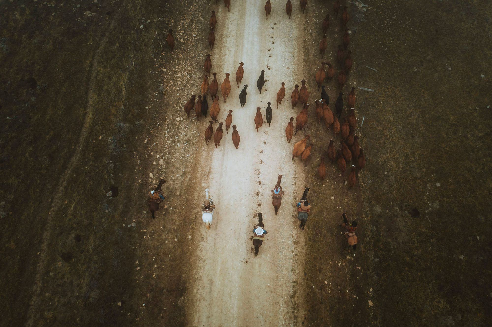 Lazy T Ranch | Ten Sleep, Wyoming