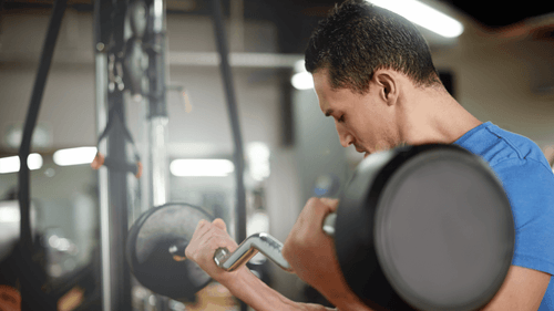 8 Basic Movement Patterns of Exercise | Hideout Fitness