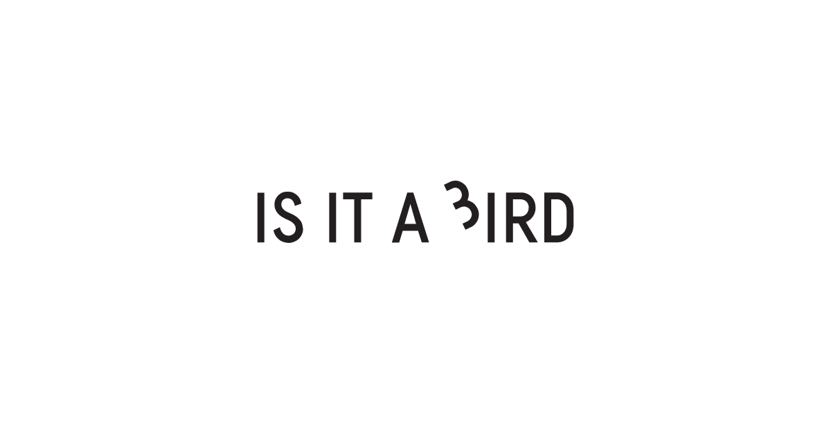 IS IT A BIRD - Strategic Innovation Agency