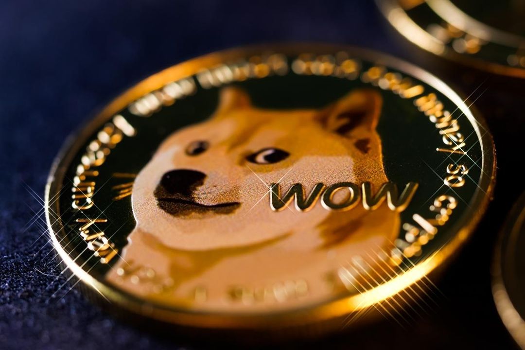 5 Pilihan Meme Coin Terbaik untuk Investasi Desember 2024