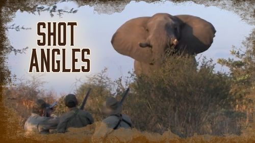 How to hunt African Elephants