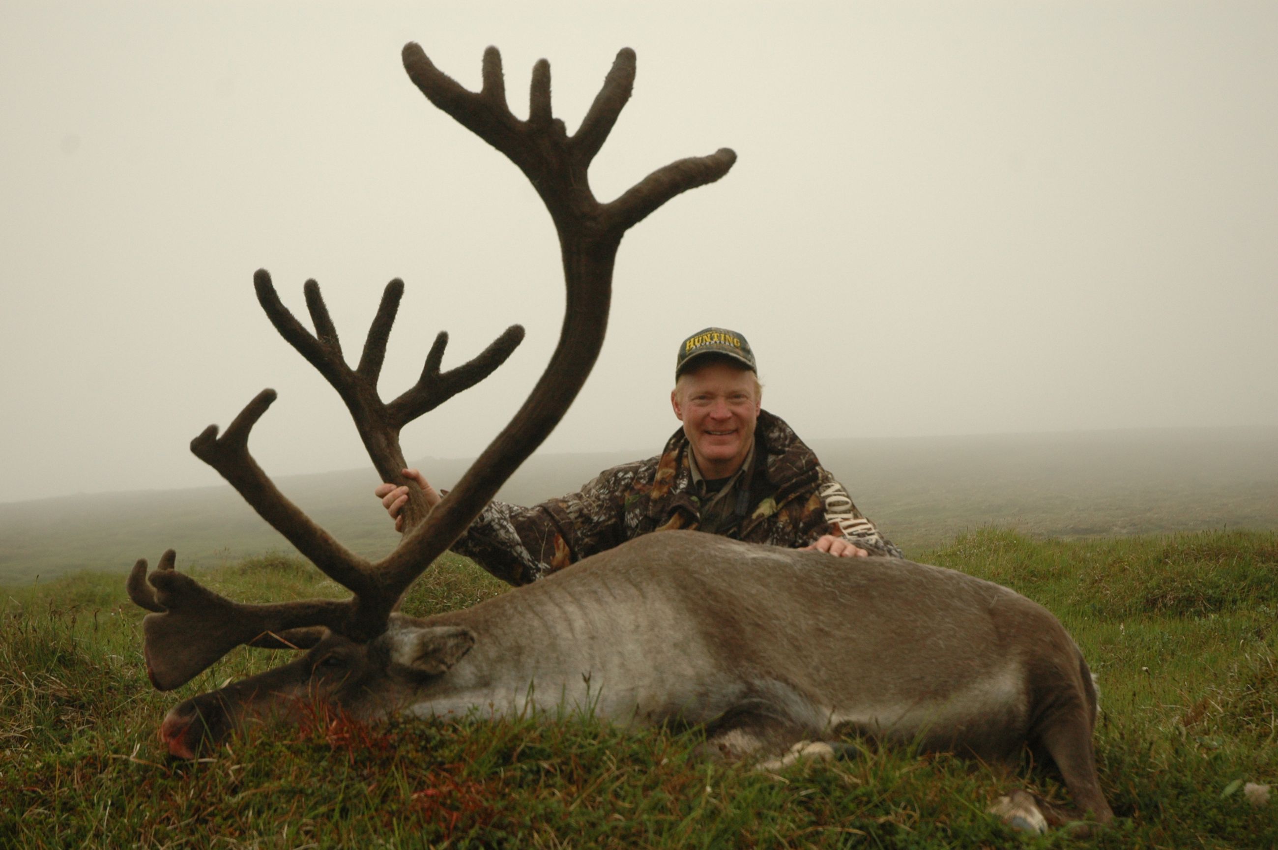 North American Introduced Reindeer - Book an Endorsed Hunt