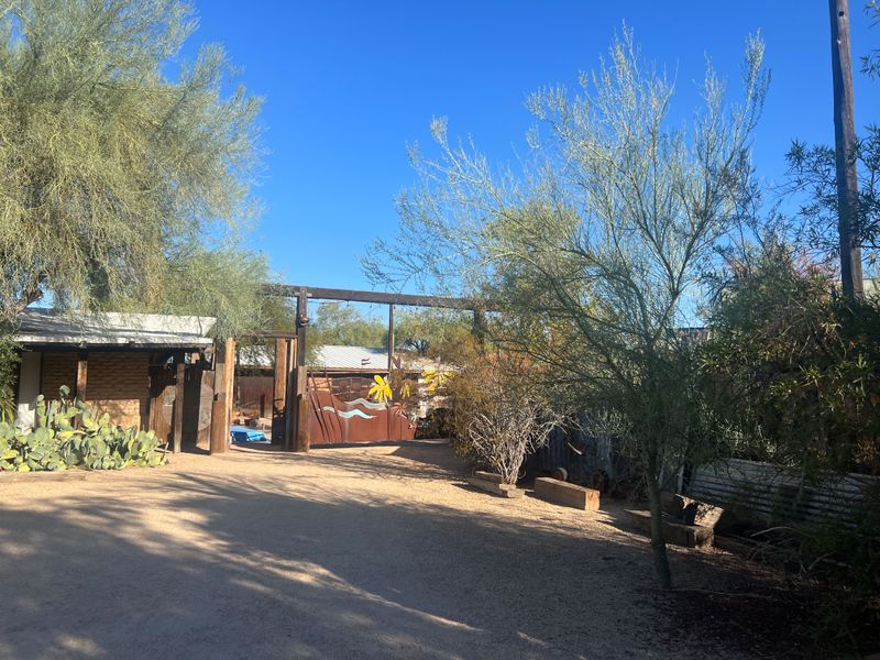 TSOA / Immersion Program