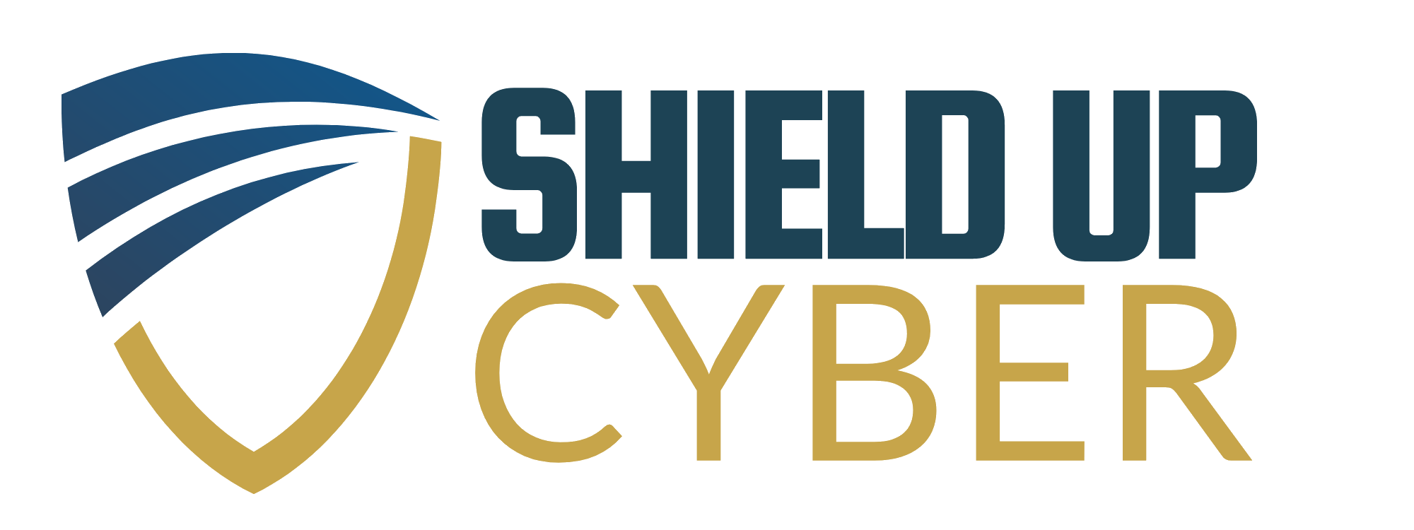 Shield Up Cybersecurity Assessment