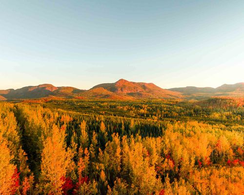 8 Best Places to See Fall Colours in Quebec: The Ultimate Guide (2025)