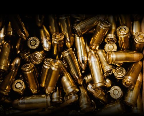 Streljana na otvorenom u Beogradu | Streliste Alpha Beograd