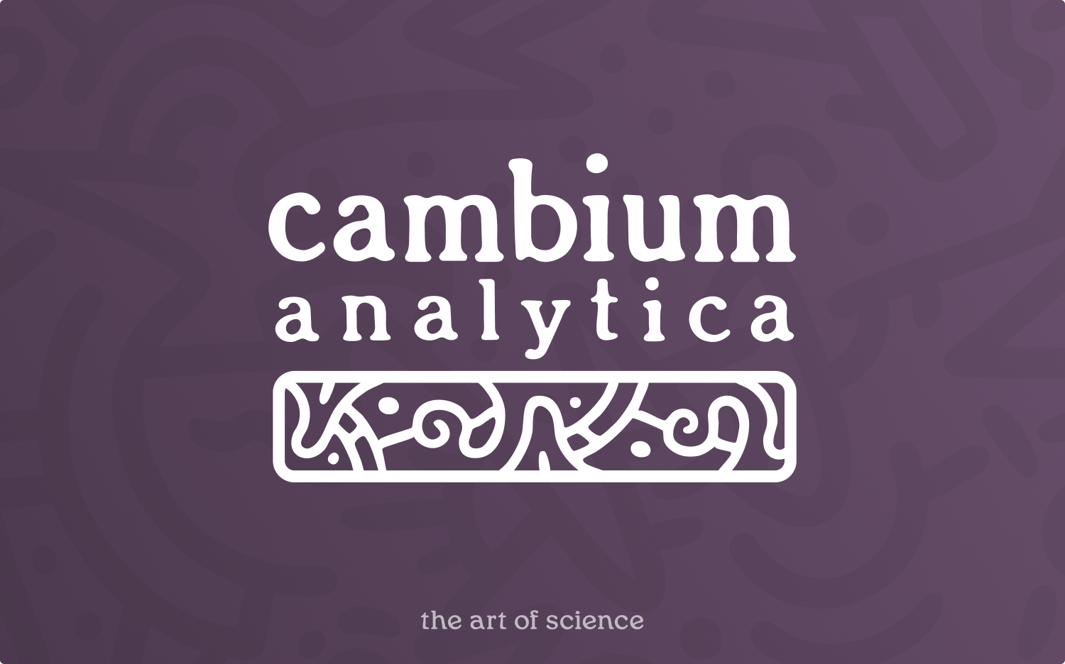 Cambium Analytica is an NSF company