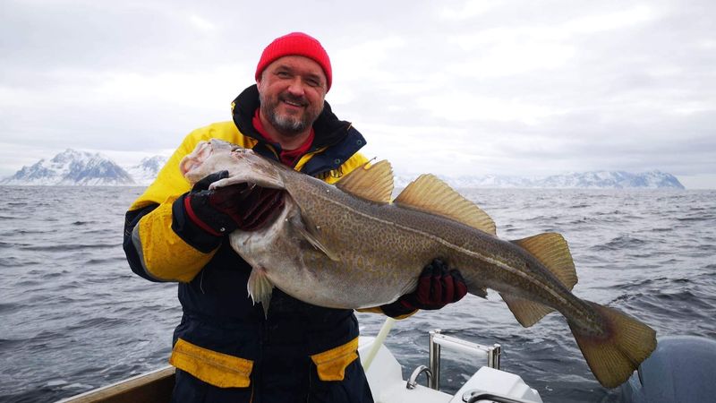 Lofoten Fishing: Exploring the enchanting fishing in North of Norway