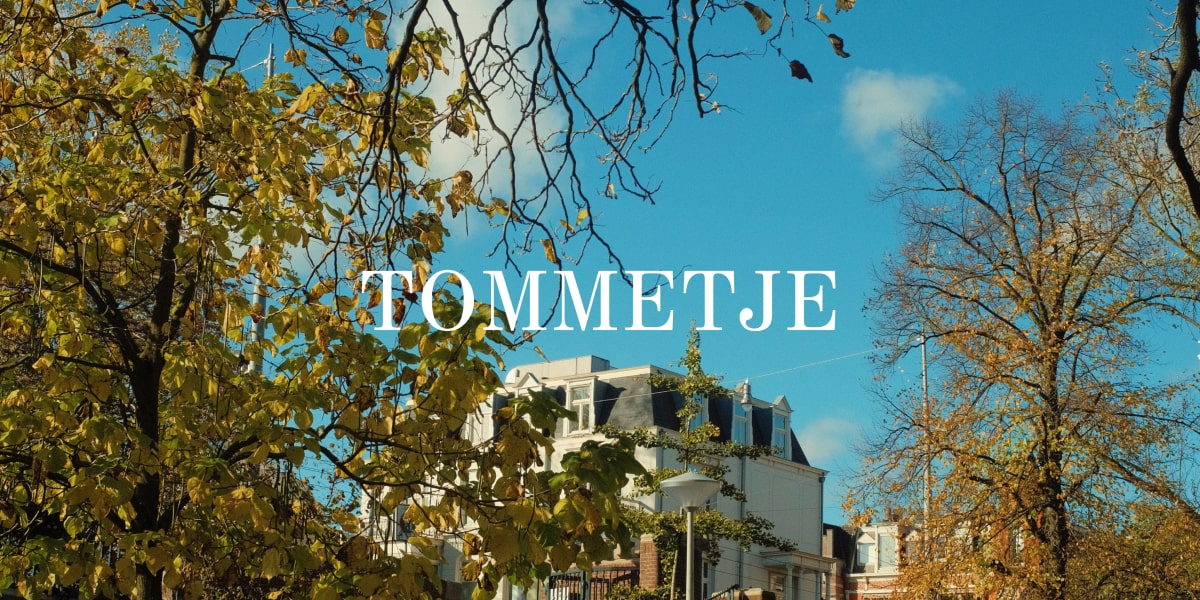 VR Museum Entr | Ommetje met Tom