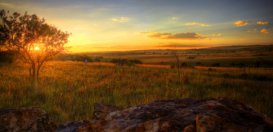 We All Have Roots In Africa: The Cradle of Humankind | SAFARI.COM