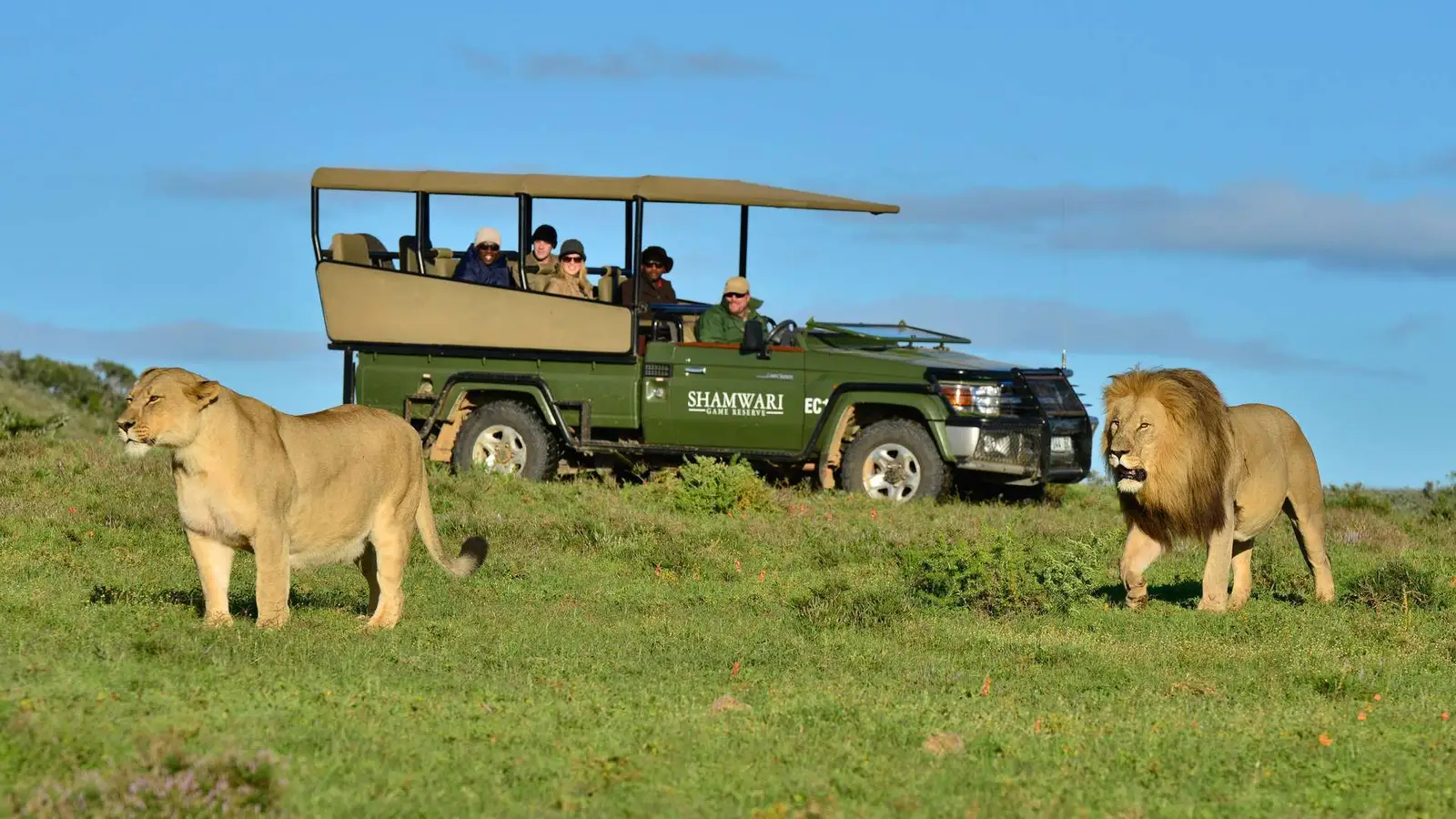 Shamwari Game Reserve Safaris - Tours, packages and lodging