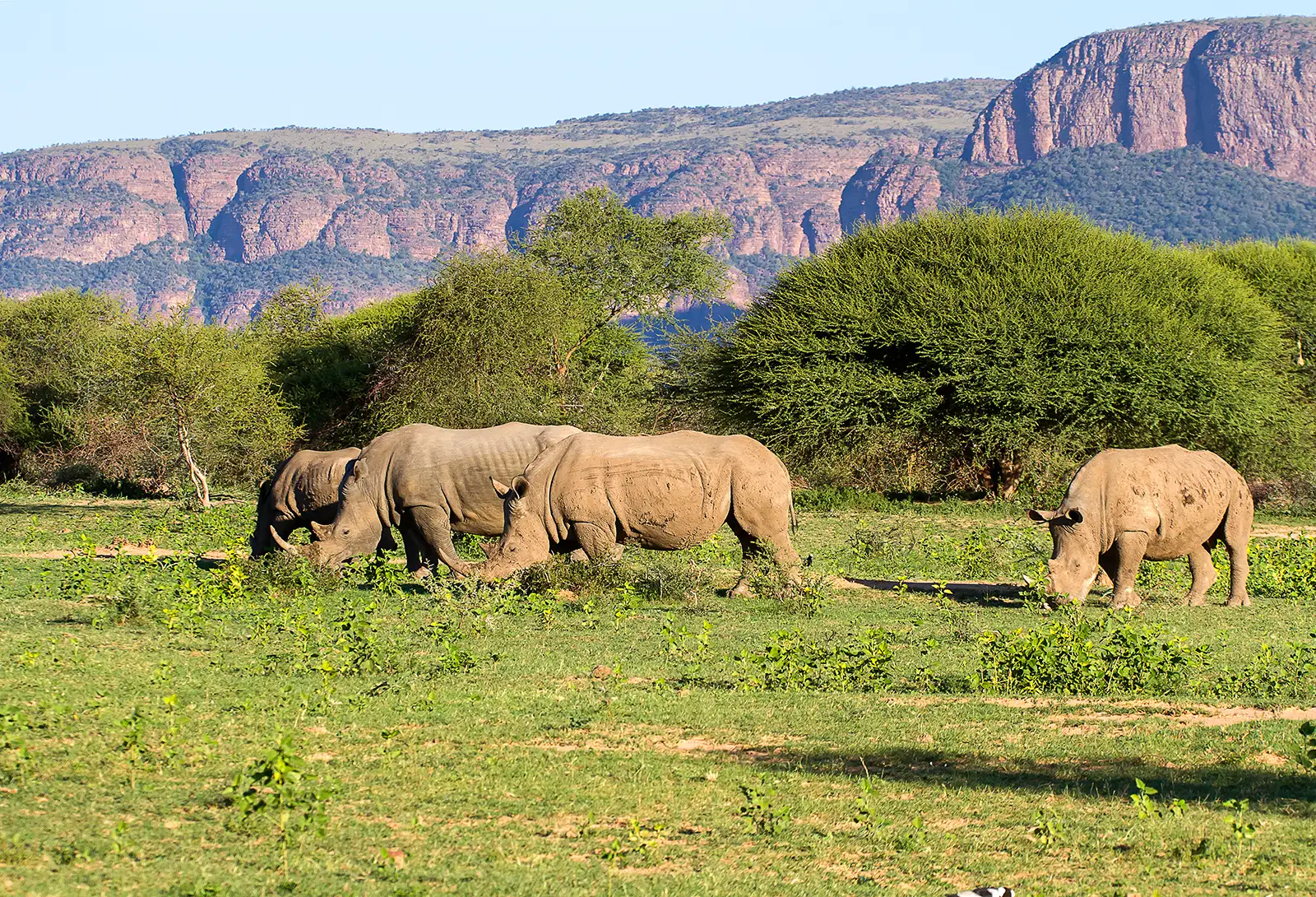 SANParks - Marakele National Park Safaris - Tours, packages and lodging
