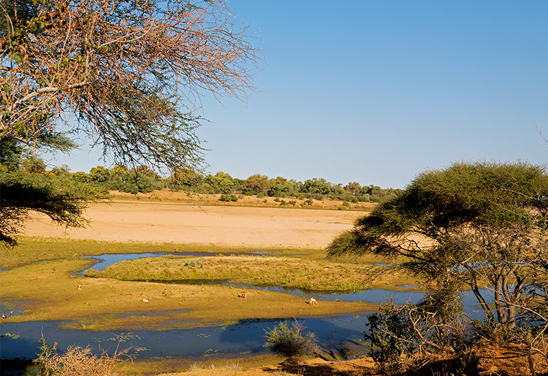 Kruger by Region: the Far North | SAFARI.COM