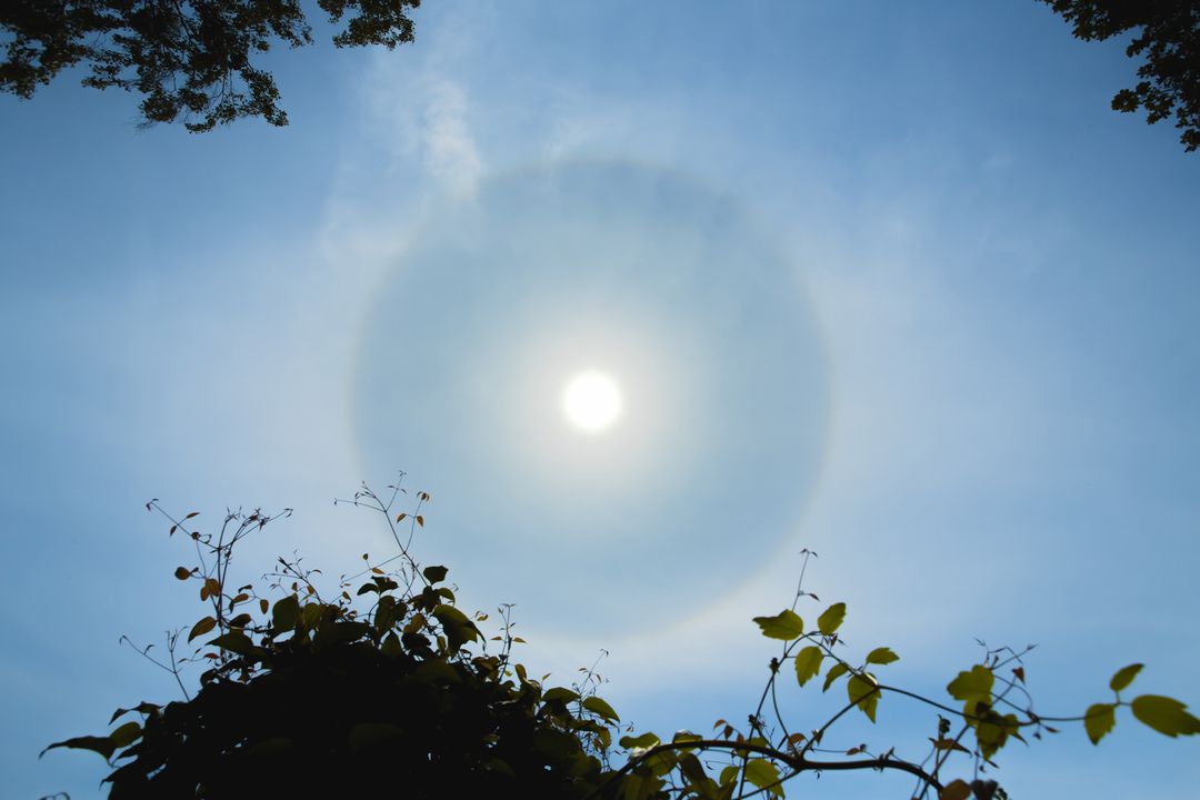 Why Some Patients See Halos After Cataract Surgery | West Boca Eye Center