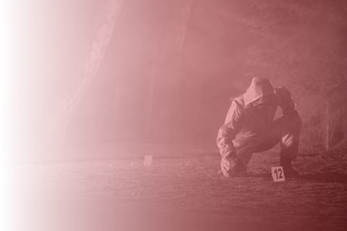 Sir Francis Bacon y el método científico — Blog CCI