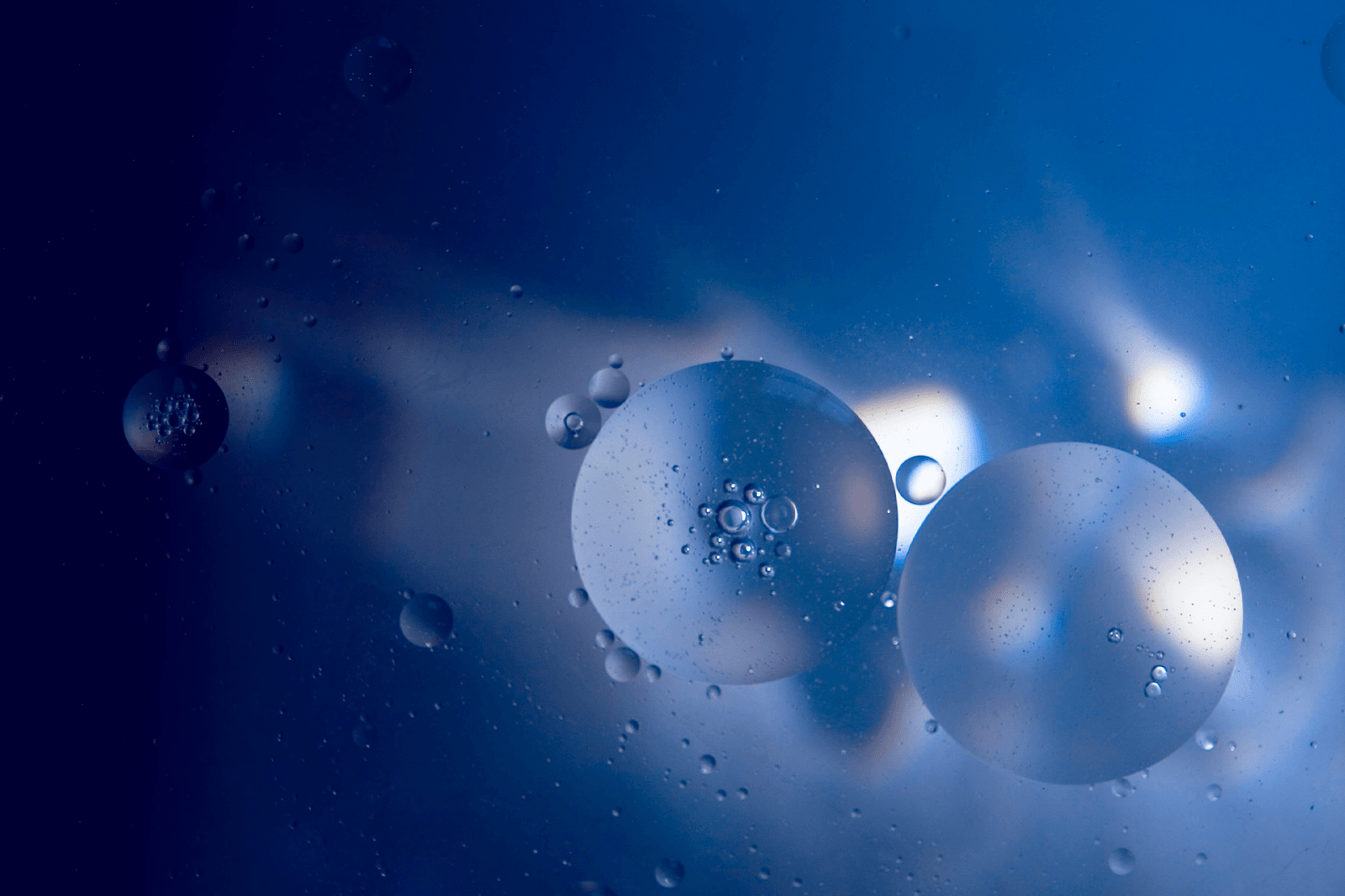 Trask | The 4th generation of WSO2 API Manager brings support for ...