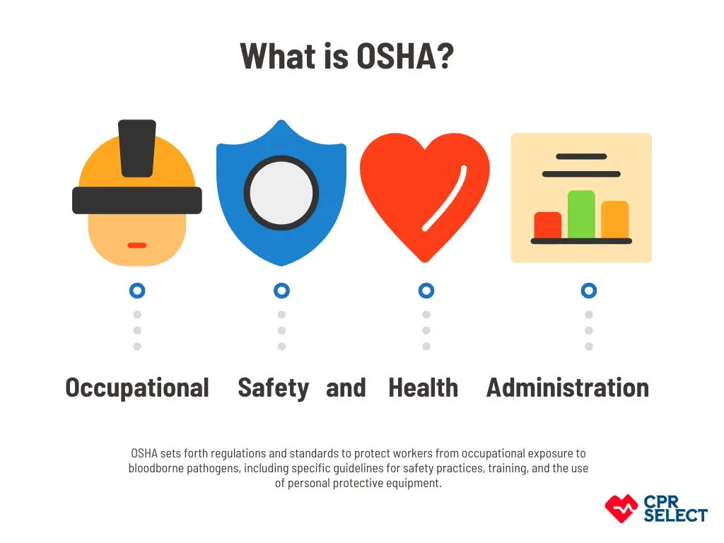 OSHA Guidelines for Bloodborne Pathogens: Bloodborne Pathogen Training