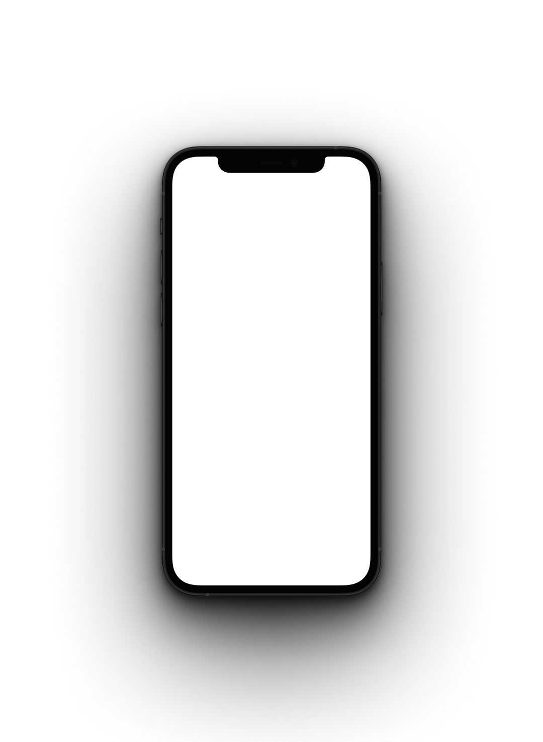 Bloom - Learn to Invest