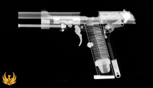 What You Need to Know About N-Ray