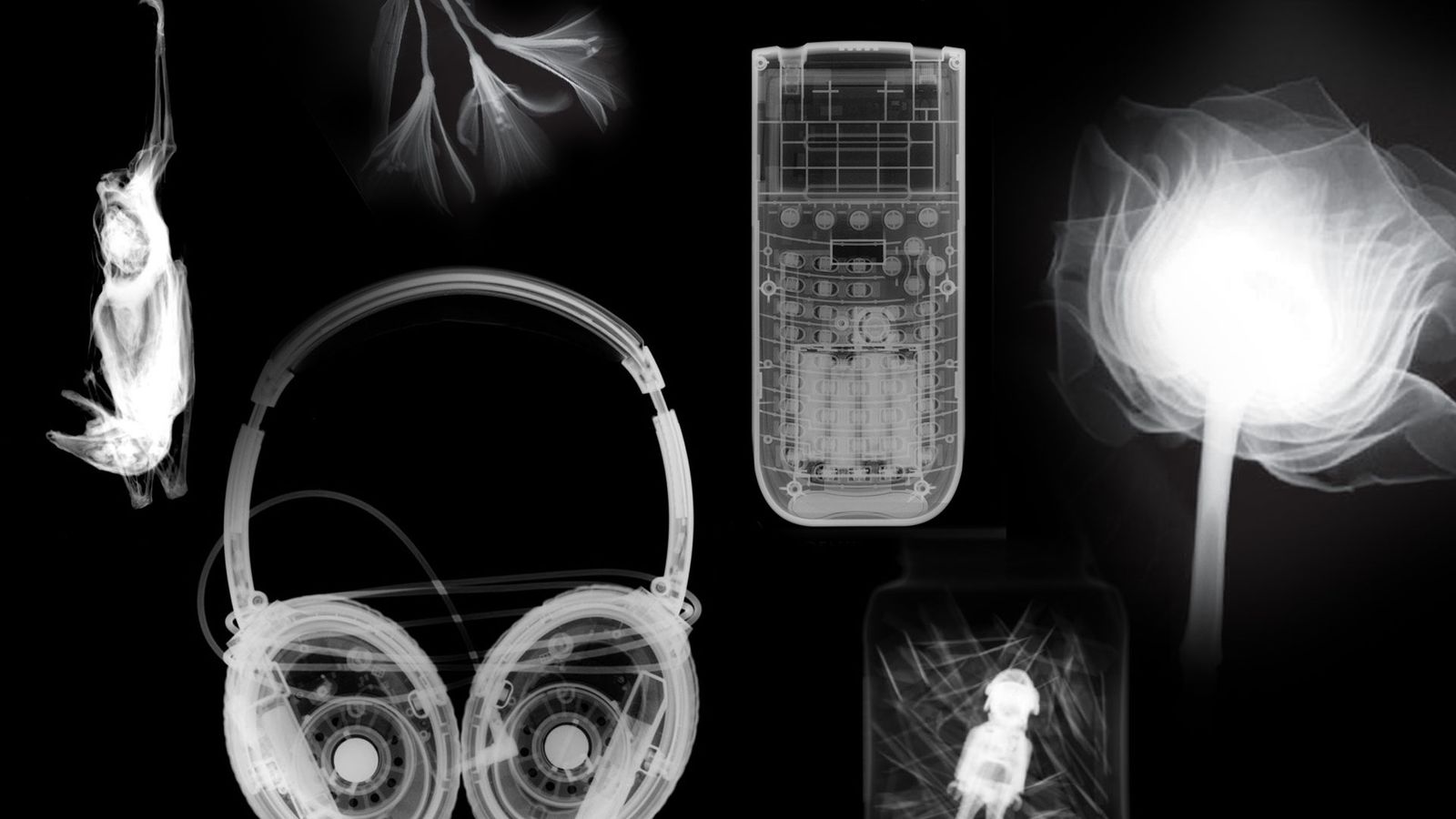 What You Need to Know About N-Ray