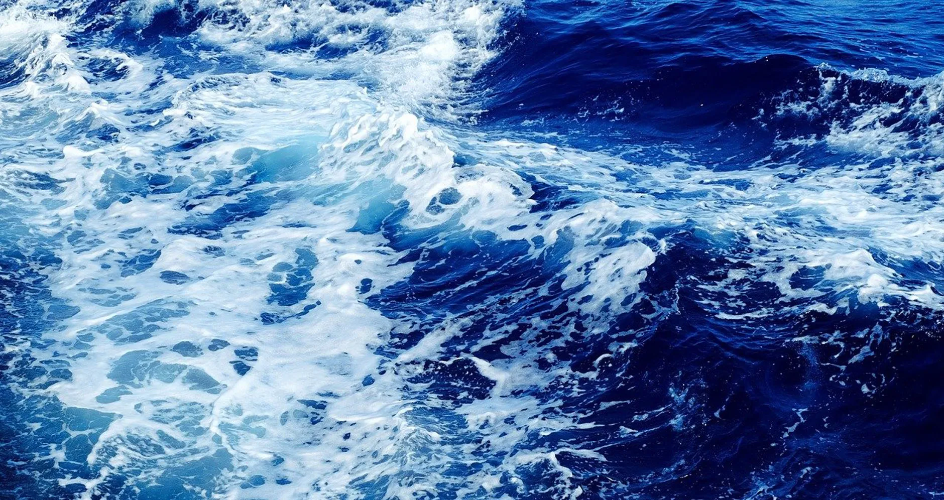 Ingman Marine | "Understanding the Pelagic Zone"