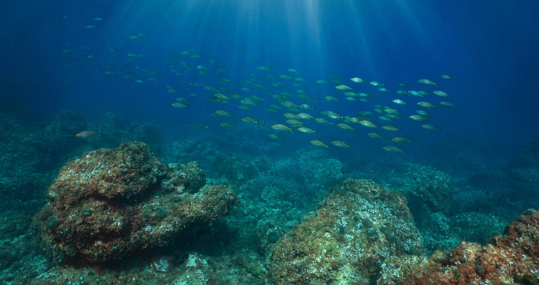 Ingman Marine | "Year-Round Guide to Fishing Florida’s Rocky Bottoms"