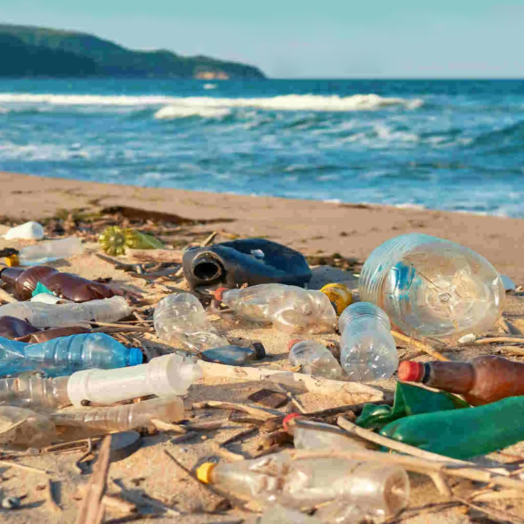 Terra Pacific Waste Management | Building Services | Irvine