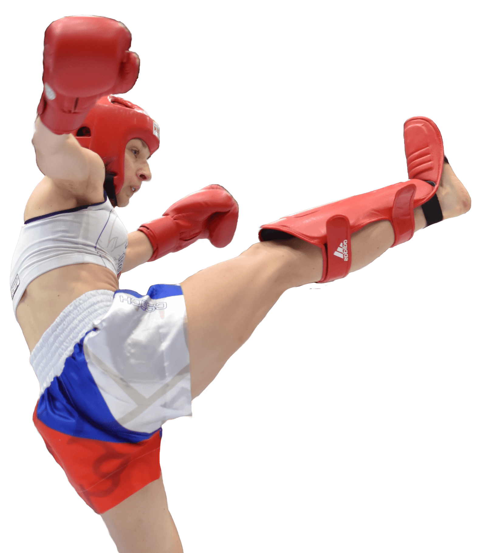 Česká asociace kickboxu