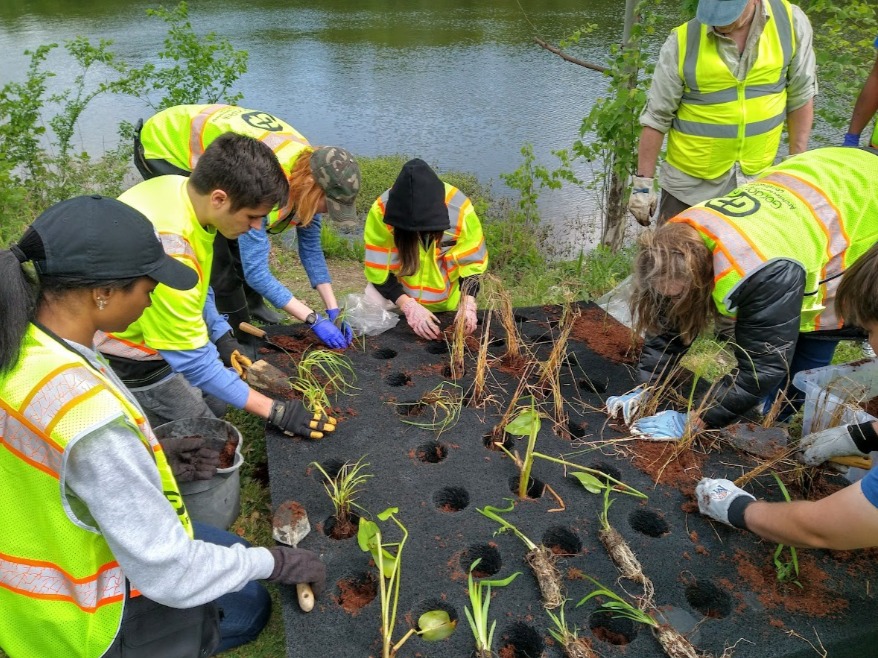Natural Highlights: Floating Wetland Islands | Wolf River Conservancy