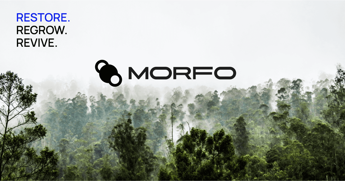MORFO | Restauração florestal de qualidade em grande escala em 4 etapas