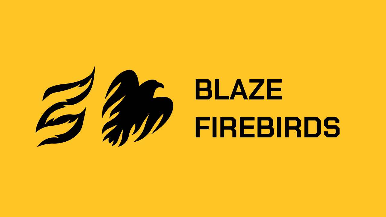 Blaze & Firebirds | Wellington NZ Professional Cricket Teams