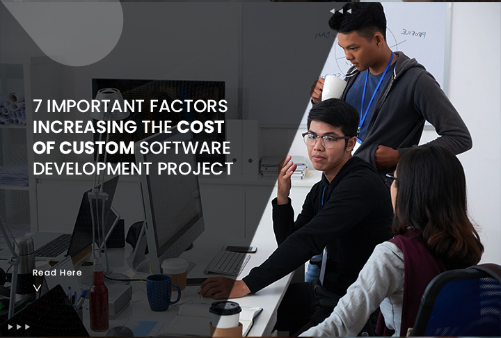 7 Important Factors Increasing the Cost of Custom Software Development ...