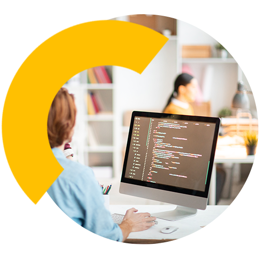 Whizzbridge - Custom Software Development Services