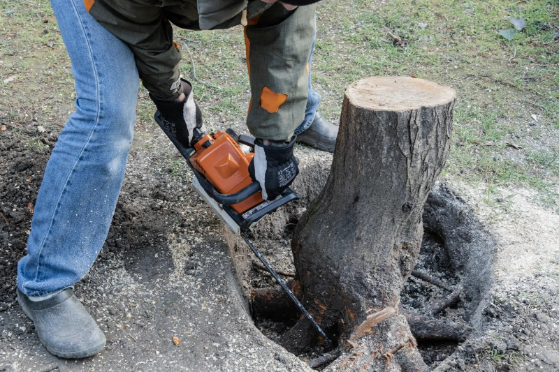 How to clear roots from drain pipes - National1plumbing.com.au