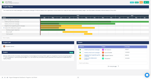 Program Management Dashboard