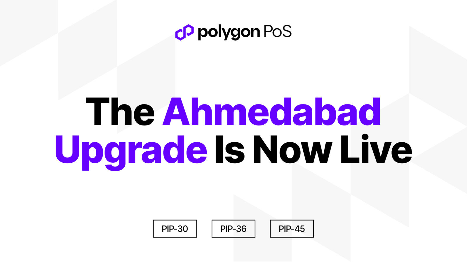 Polygon Blog | Announcements, updates, and news