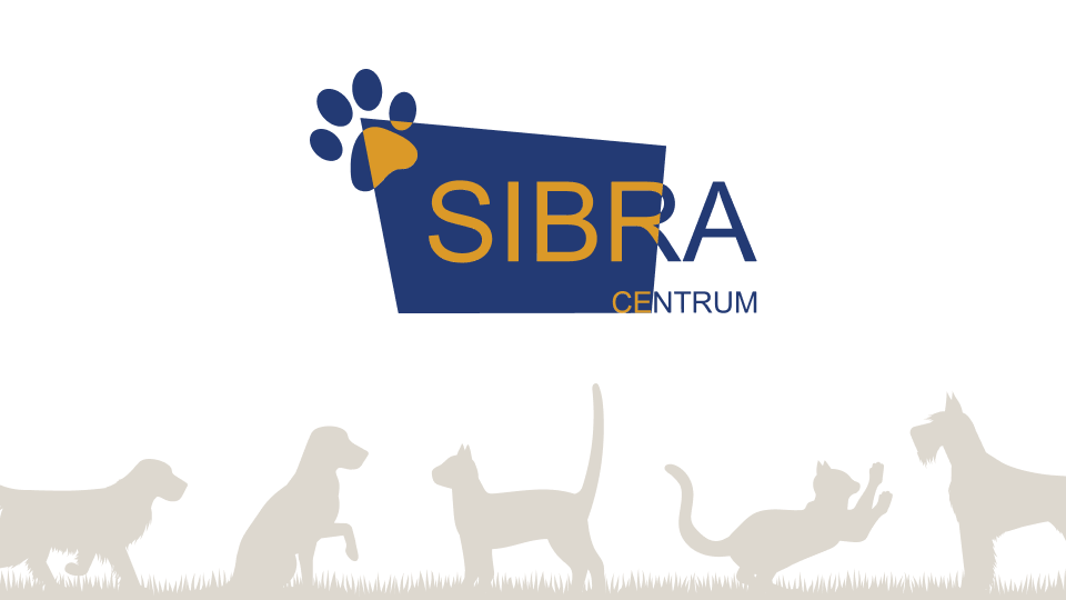 Veterinárna nemocnica Sibra - Komplexné služby