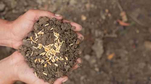 Nails, Tacks, Drawing Pins HSN Code & GST Rate - 7317