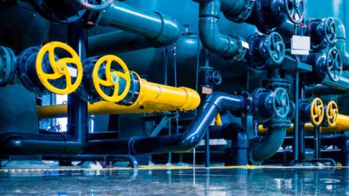 Black Pepper HSN Code and GST Rate - 0904