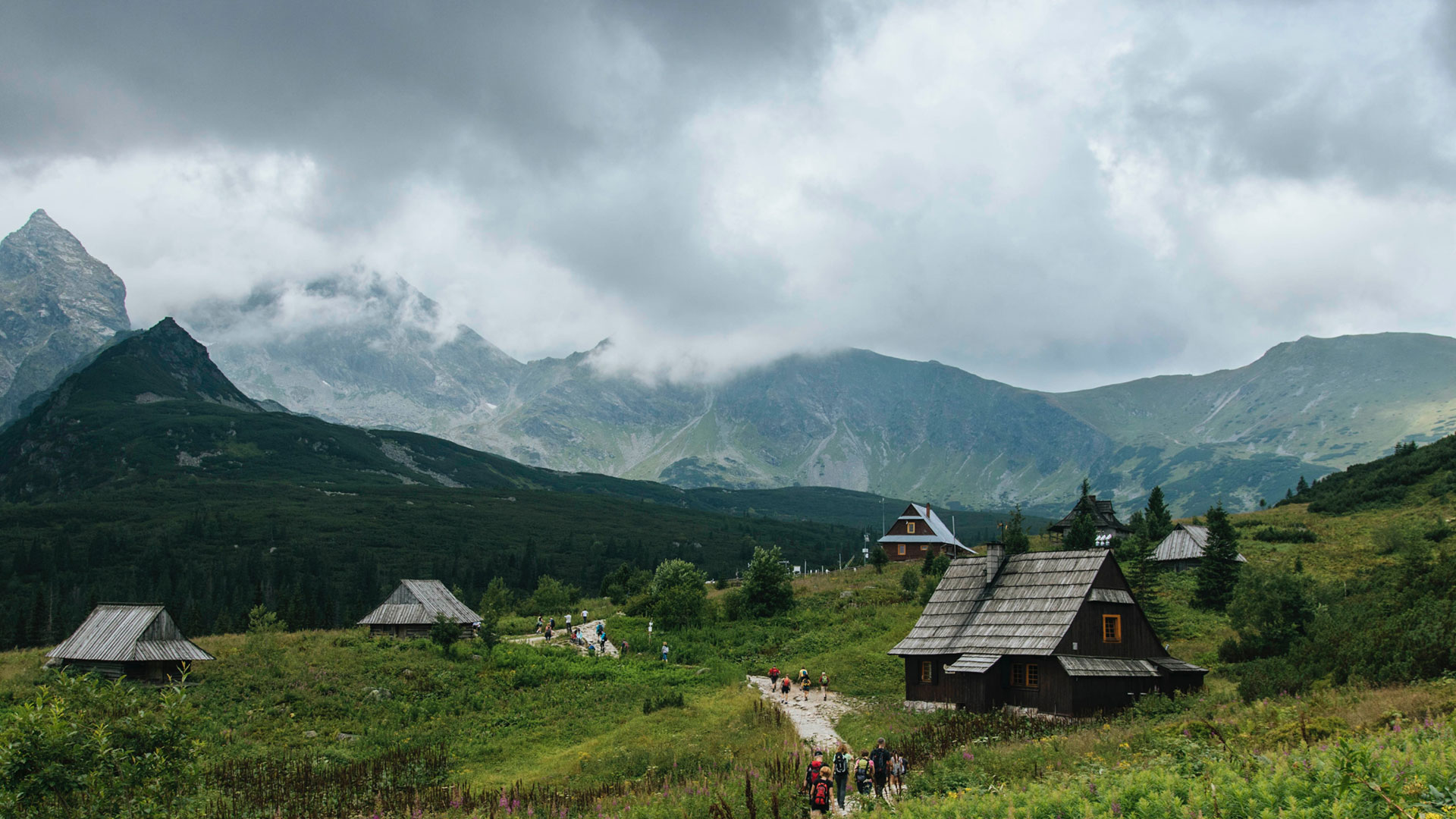 Teardrop Camper Videos