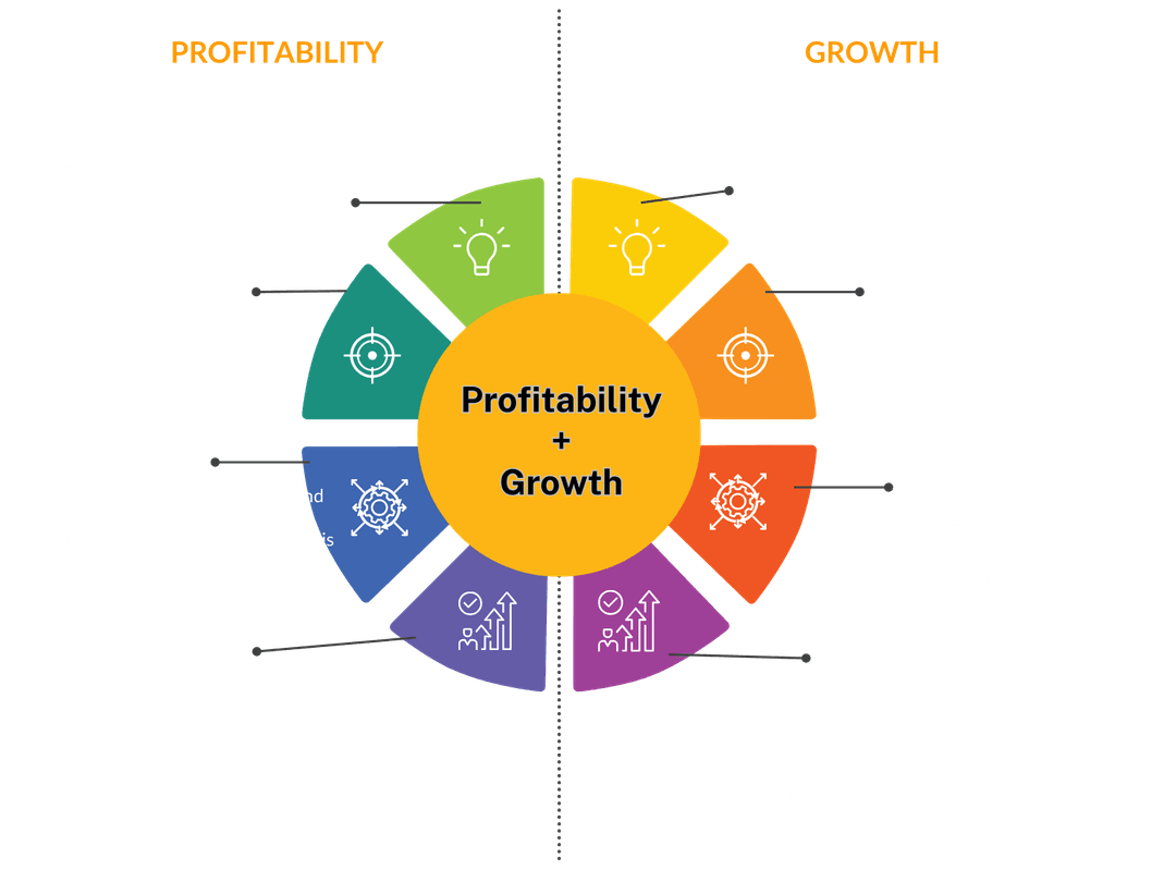 U.S. Small Business Consultant | Profitability & Growth Strategies