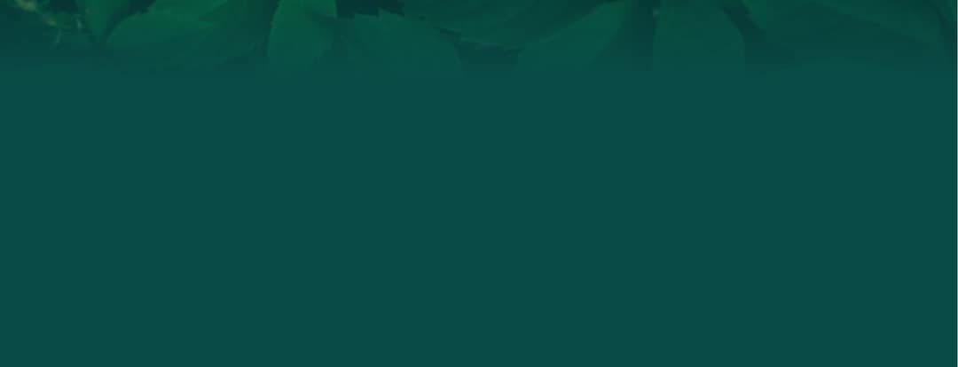 Forms & Applications | C.A.R.S.