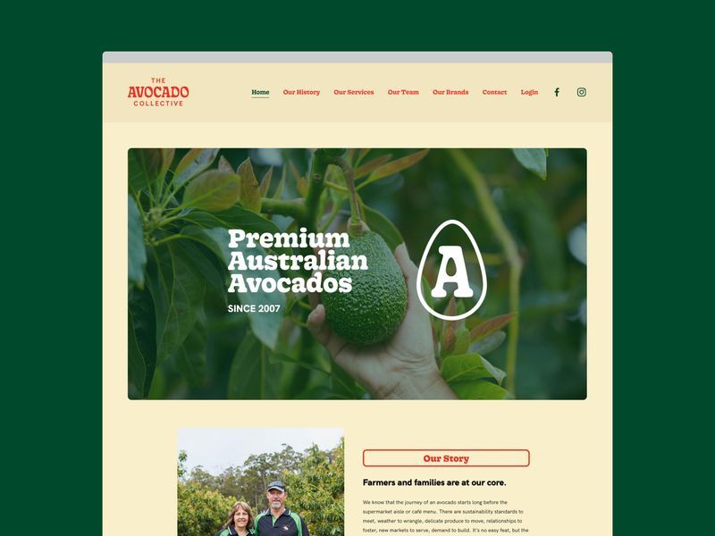 The Avocado Collective - Block Branding