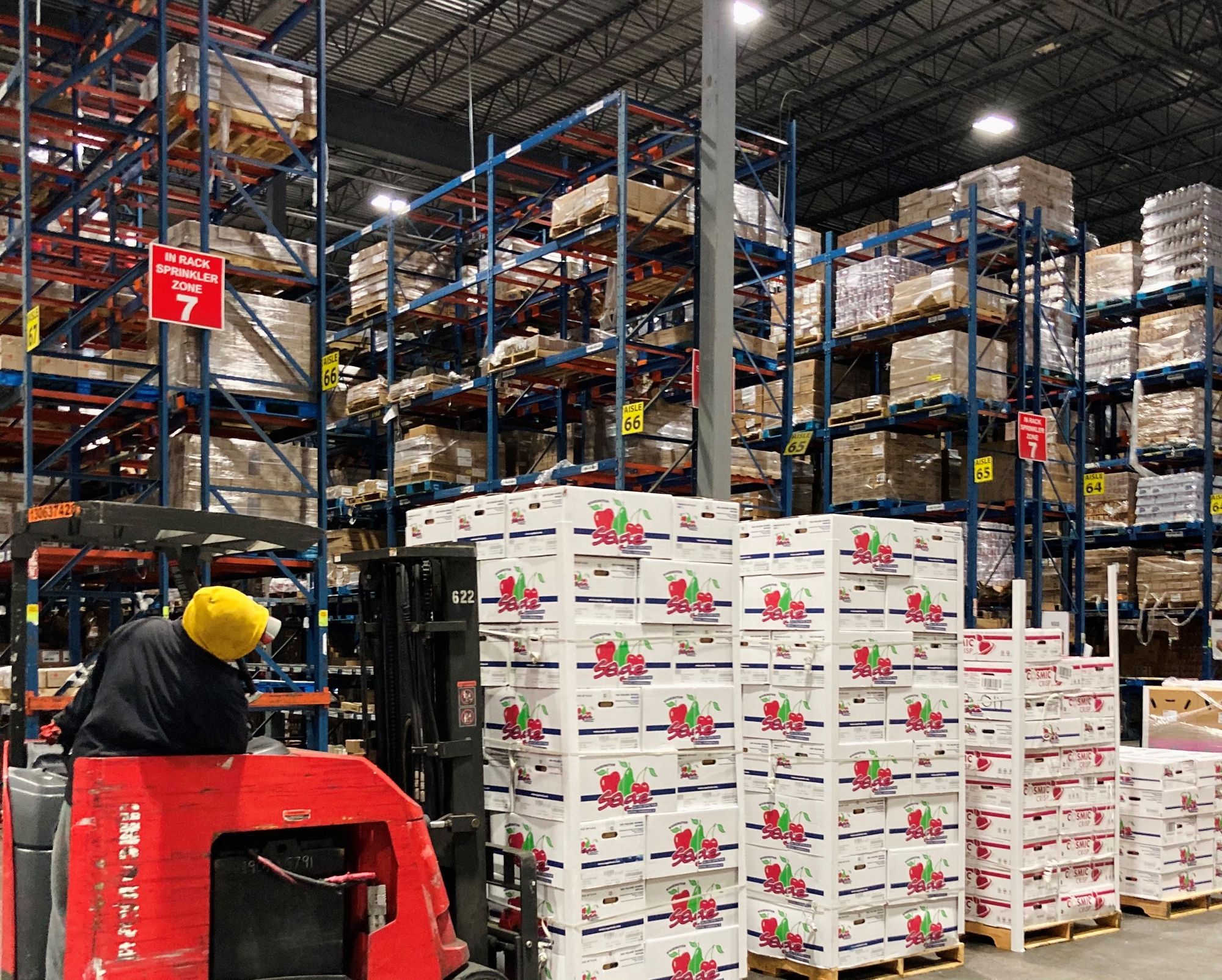 Strella Biotechnology