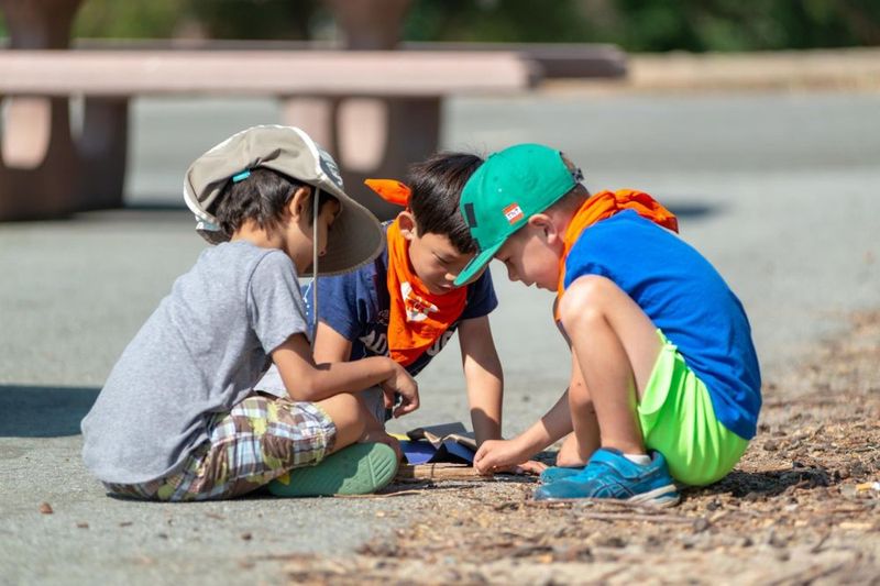 EDMO | After-school Programs, Summer Camps & Year round expanded learning