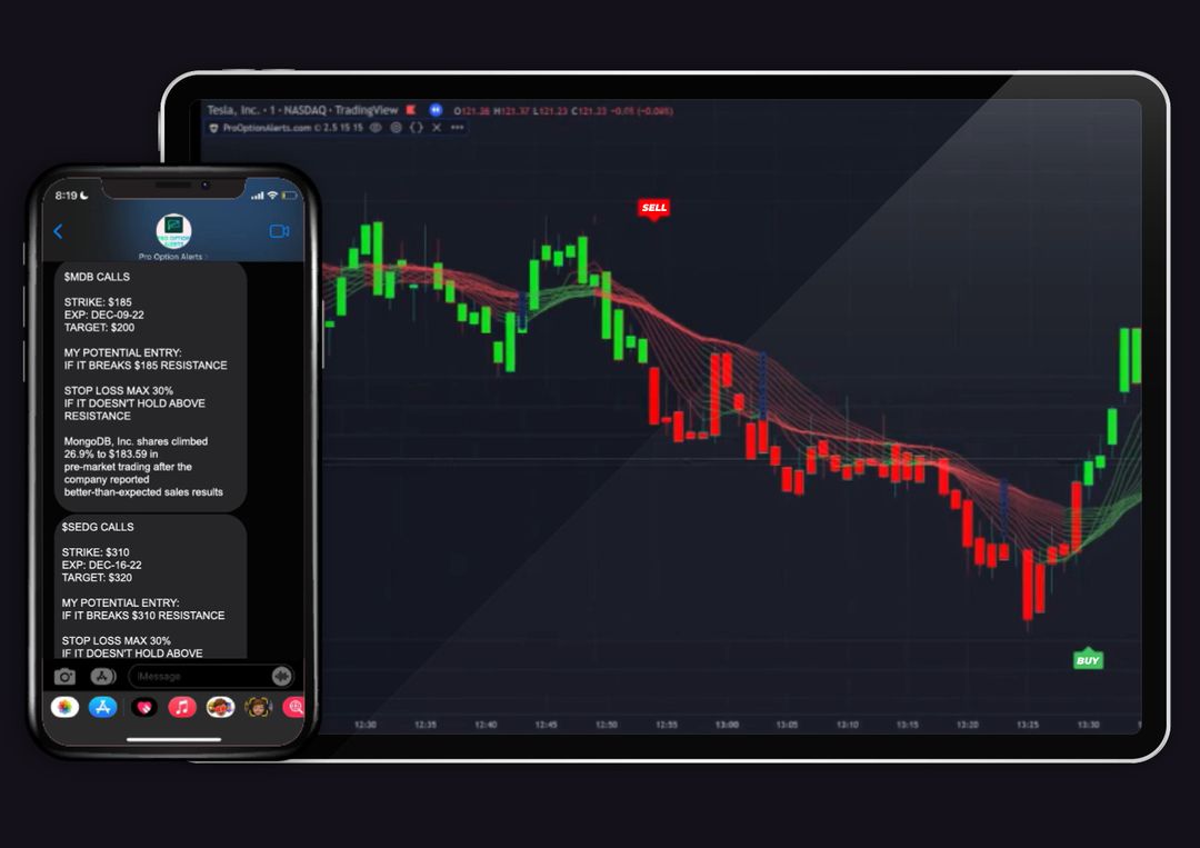 Pro-Options Alerts | Best Day Trading Alert Service
