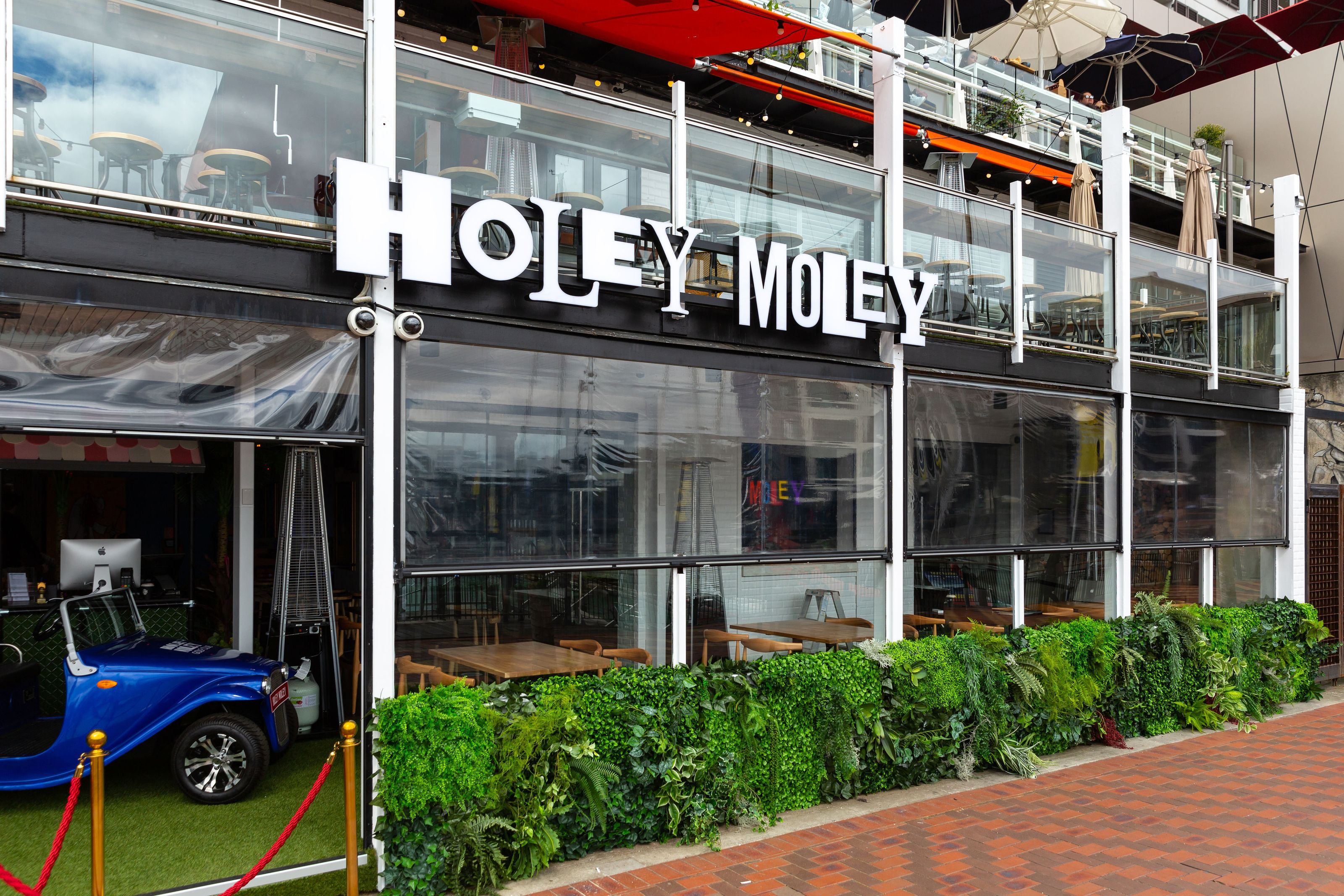 Holey Moley | Eat & Drink | Viaduct Harbour